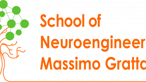 Brain on a chip models | Neuroengineering Genoa Center